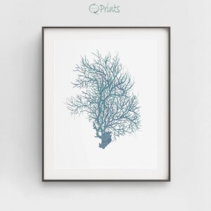 Set of 3 Nautical, Coral Triptych, Set of 3 Prints, Hampton Style ...