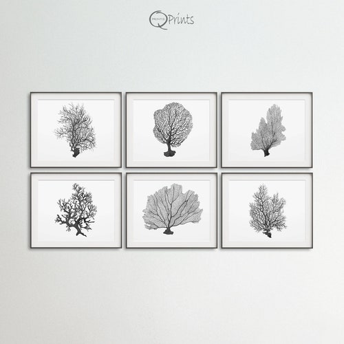 Coral Art Print Set of 6 Printables White Coral Prints - Etsy