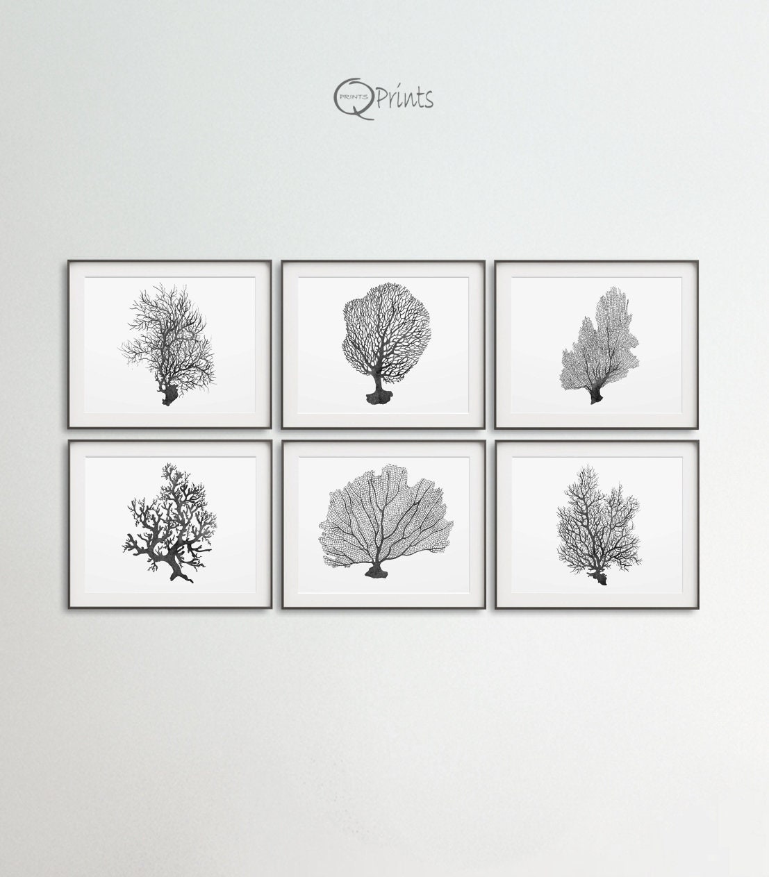 Set of 6 Prints Coral Printables Black and White Horizontal | Etsy