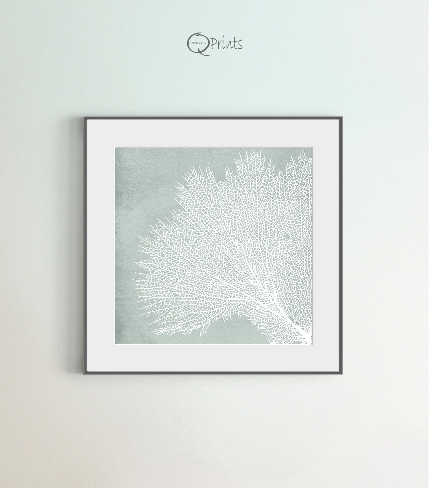 Coral Art Print Set of 6 Printables White Coral Prints - Etsy