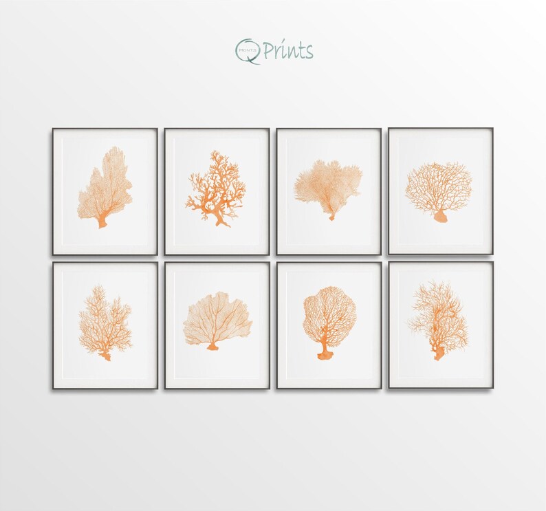 Set of Coral Prints 8 Printable Corals Orange Digital Coral - Etsy