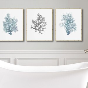 Set of 3 Nautical, Coral Triptych, Set of 3 Prints, Hampton Style ...