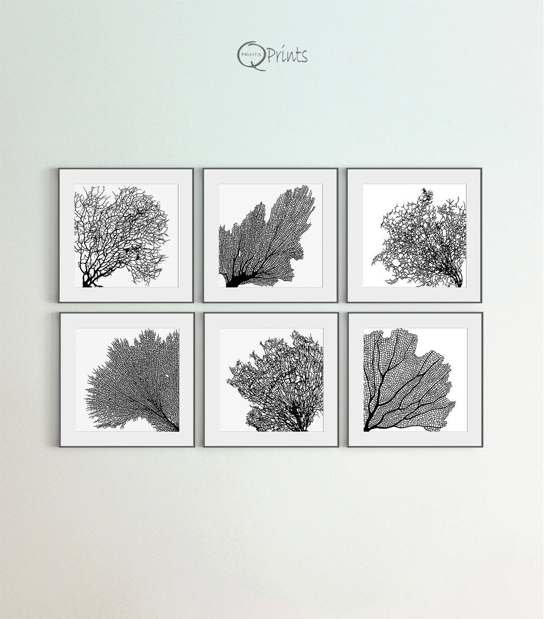 Coral Art Print, Set of 6 Printables, Black & White Coral Prints ...