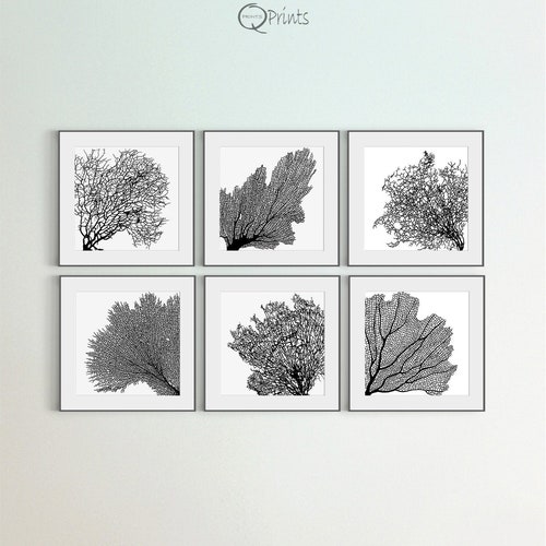 Coral Art Print Set of 6 Printables White Coral Prints - Etsy