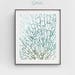 Sea Fan Coral Print Ocean Seafan Art Nautical Art Print - Etsy