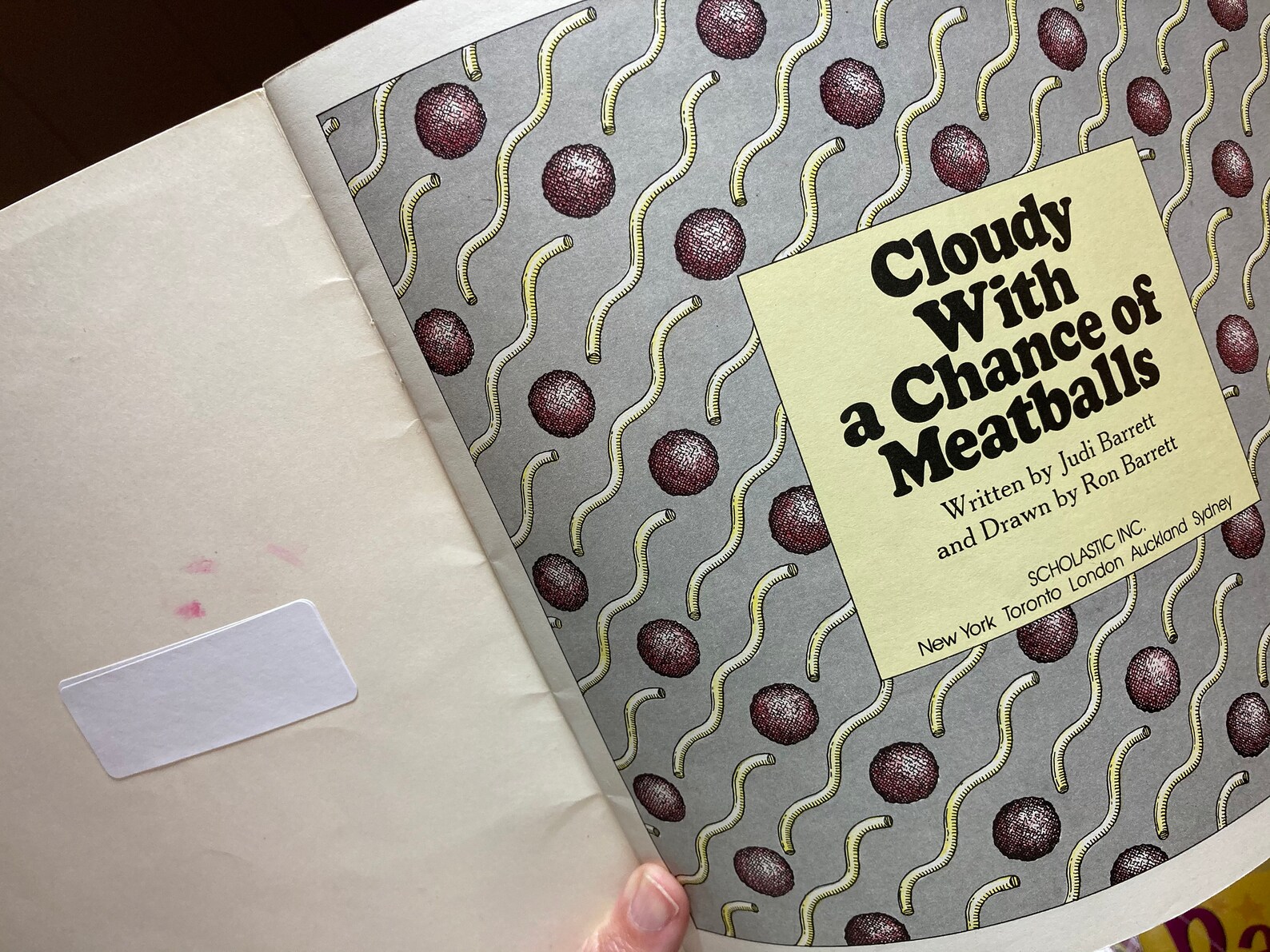 Cloudy With A Chance of Meatballs Vintage childrens books | Etsy