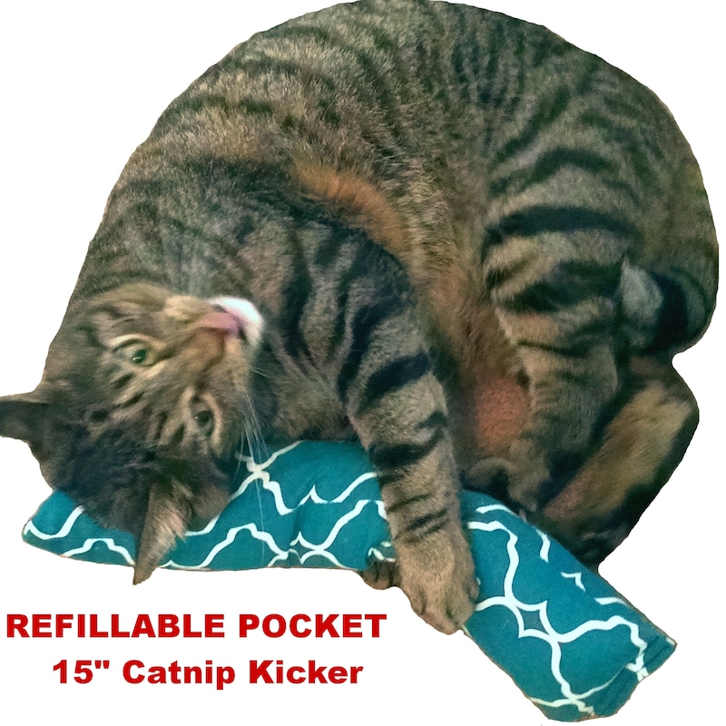Cat Kicker - Etsy