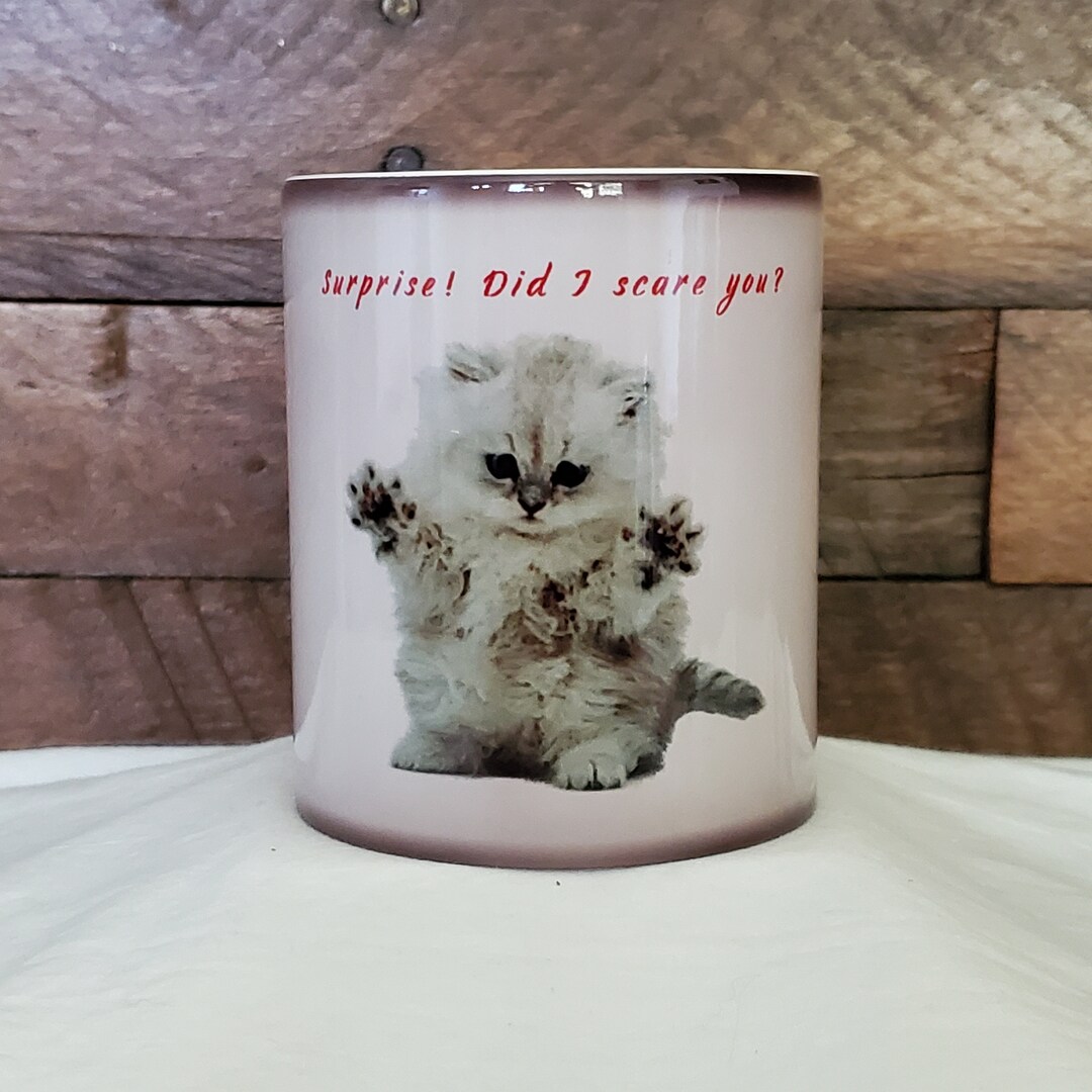 Hidden Picture Coffee Mug - Etsy