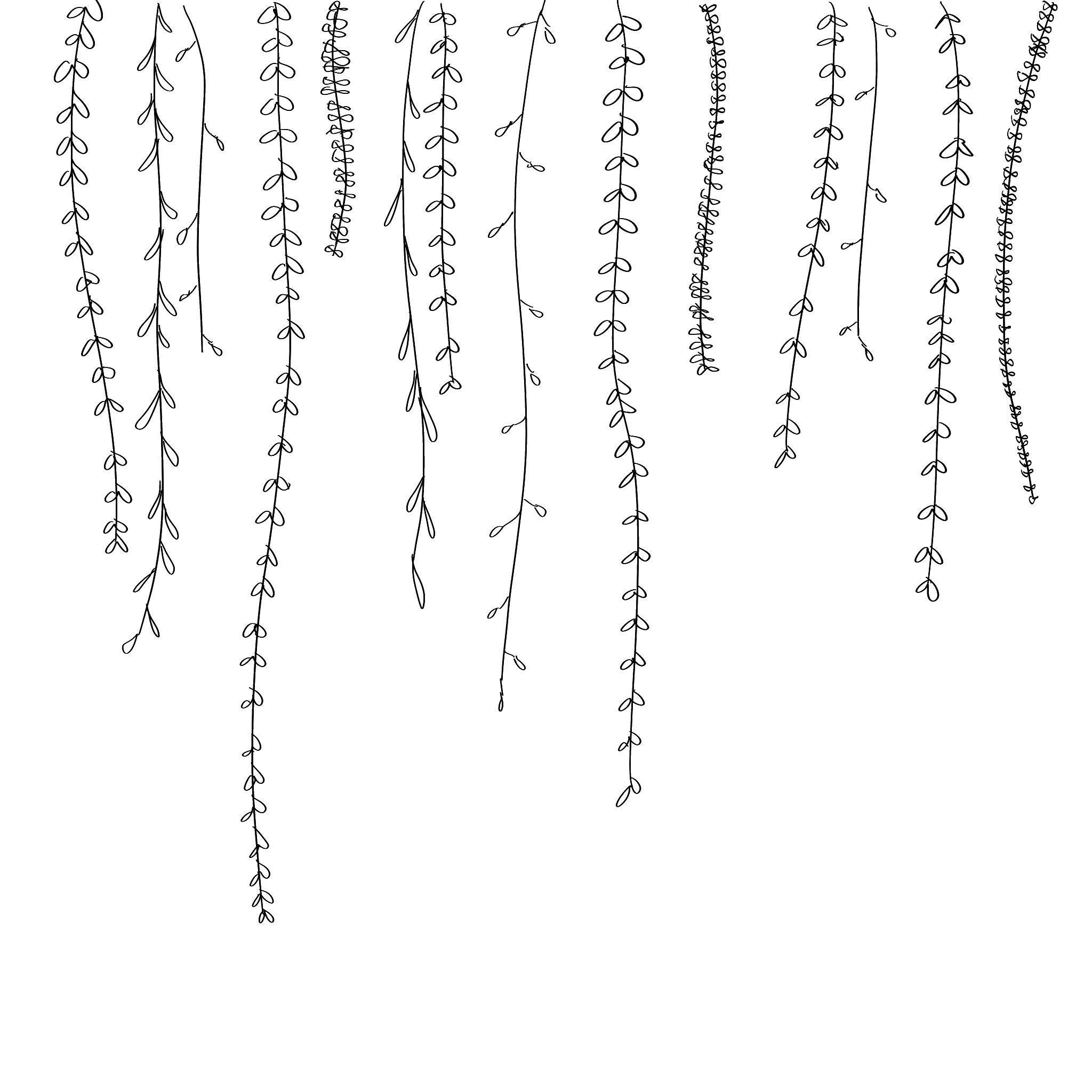 Drawn Vines
