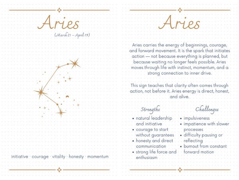 Zodiac Bullet Journal 2026 | Printable PDF for Reflection | A4 Digital ...