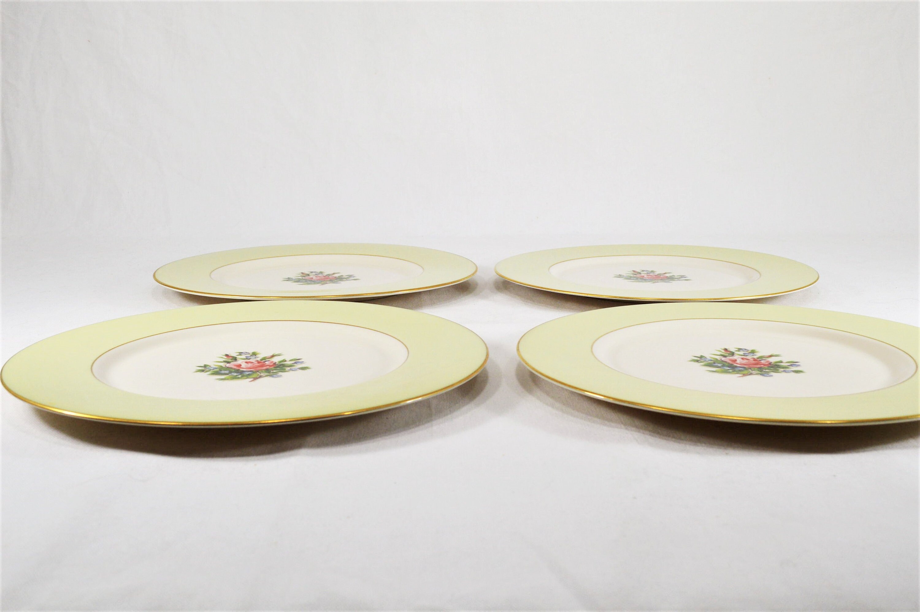 Vintage Dinner Plates Set of 4 | Etsy