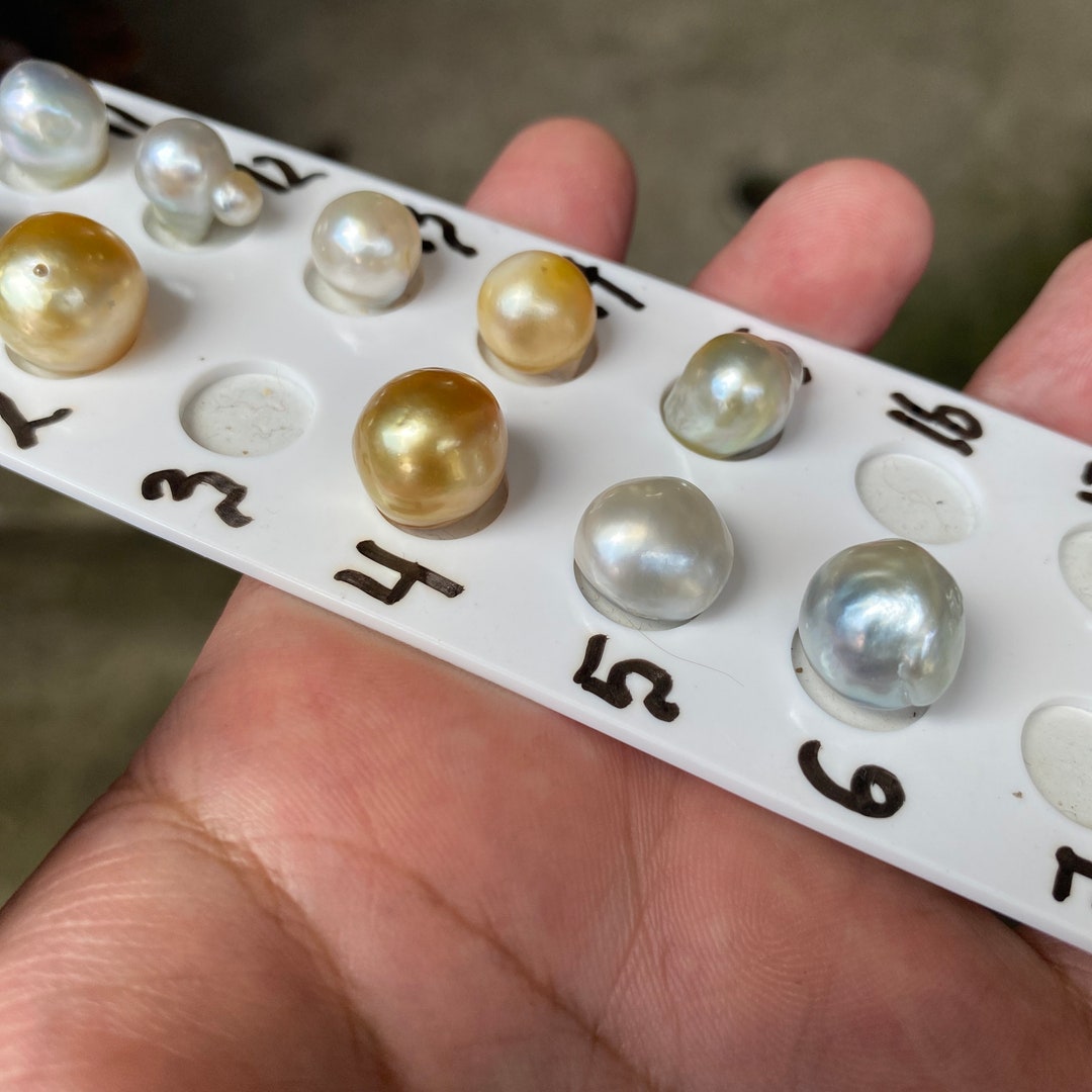 10-14mm Loose South Sea Pearl Loose Seawater Saltwater Pearl - Etsy ...