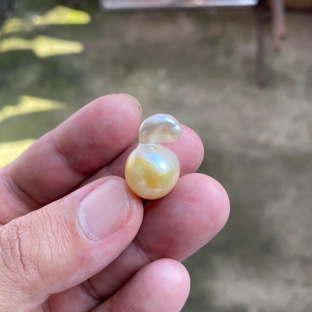 13.5MM Loose Real South Sea Pearl Real Seawater Saltwater - Etsy