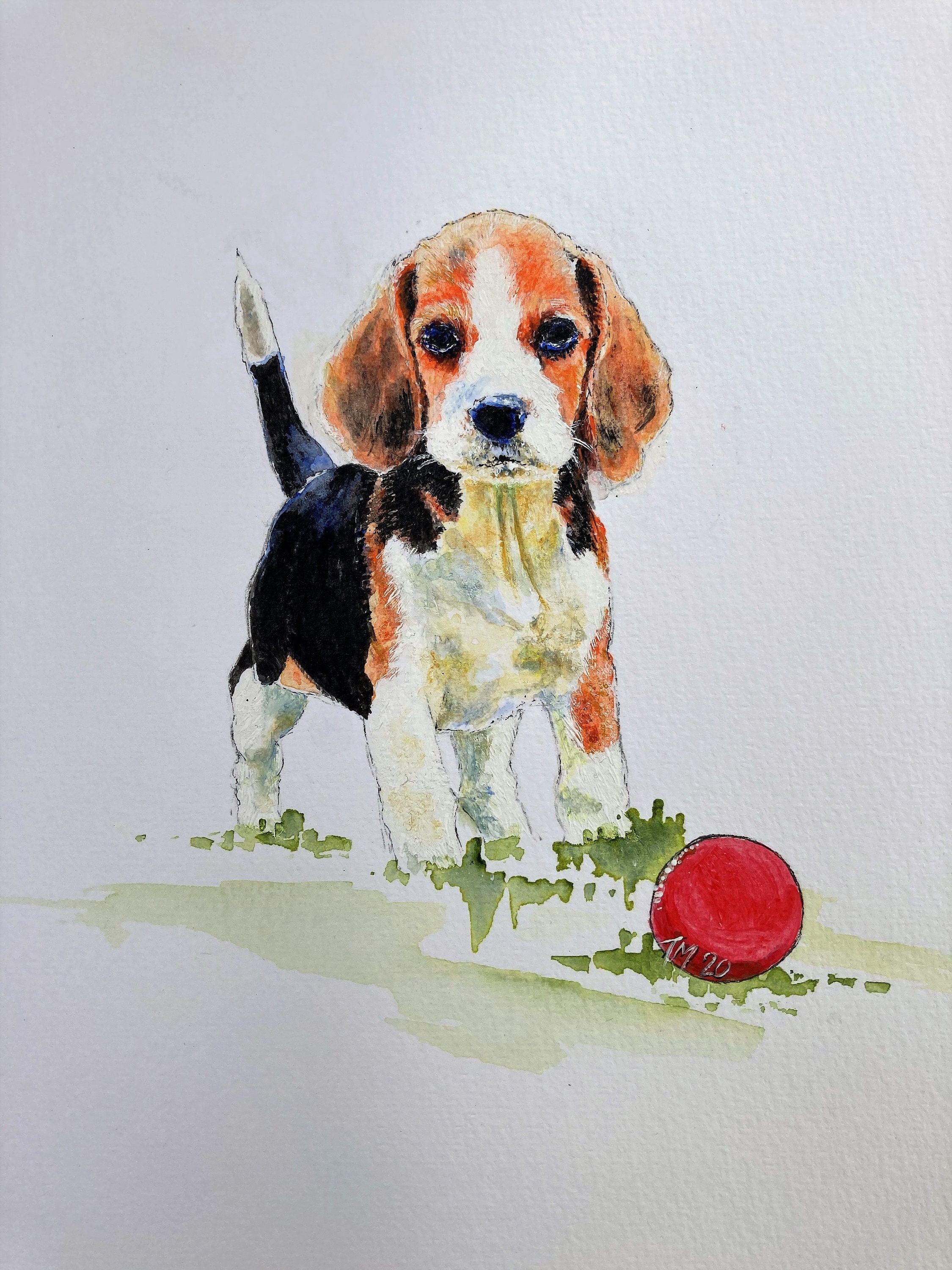 Awesome Cute Baby Beagles