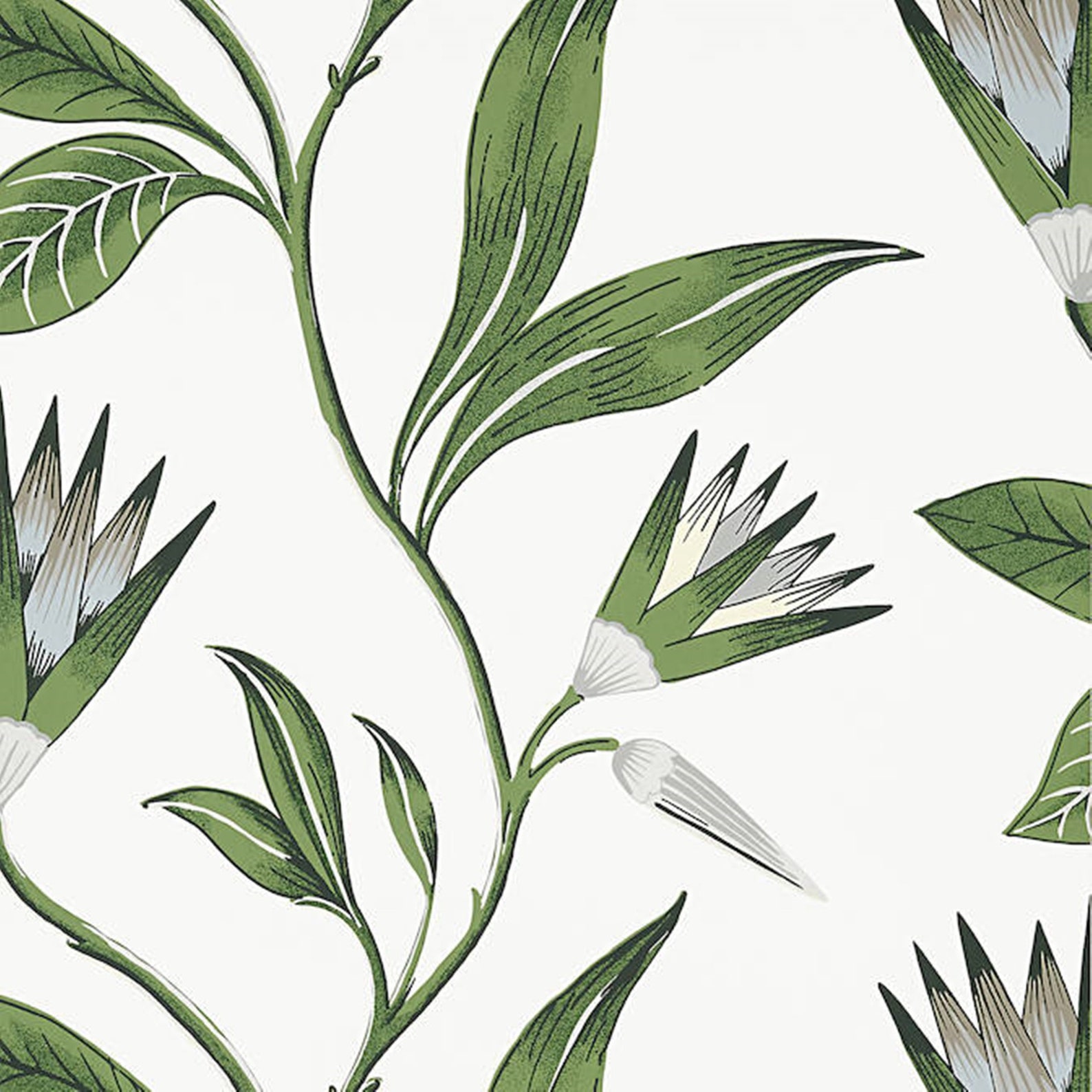 Thibaut Wallpaper Cleo Vine, Anna French Wallpaper, Designer Wallpaper ...