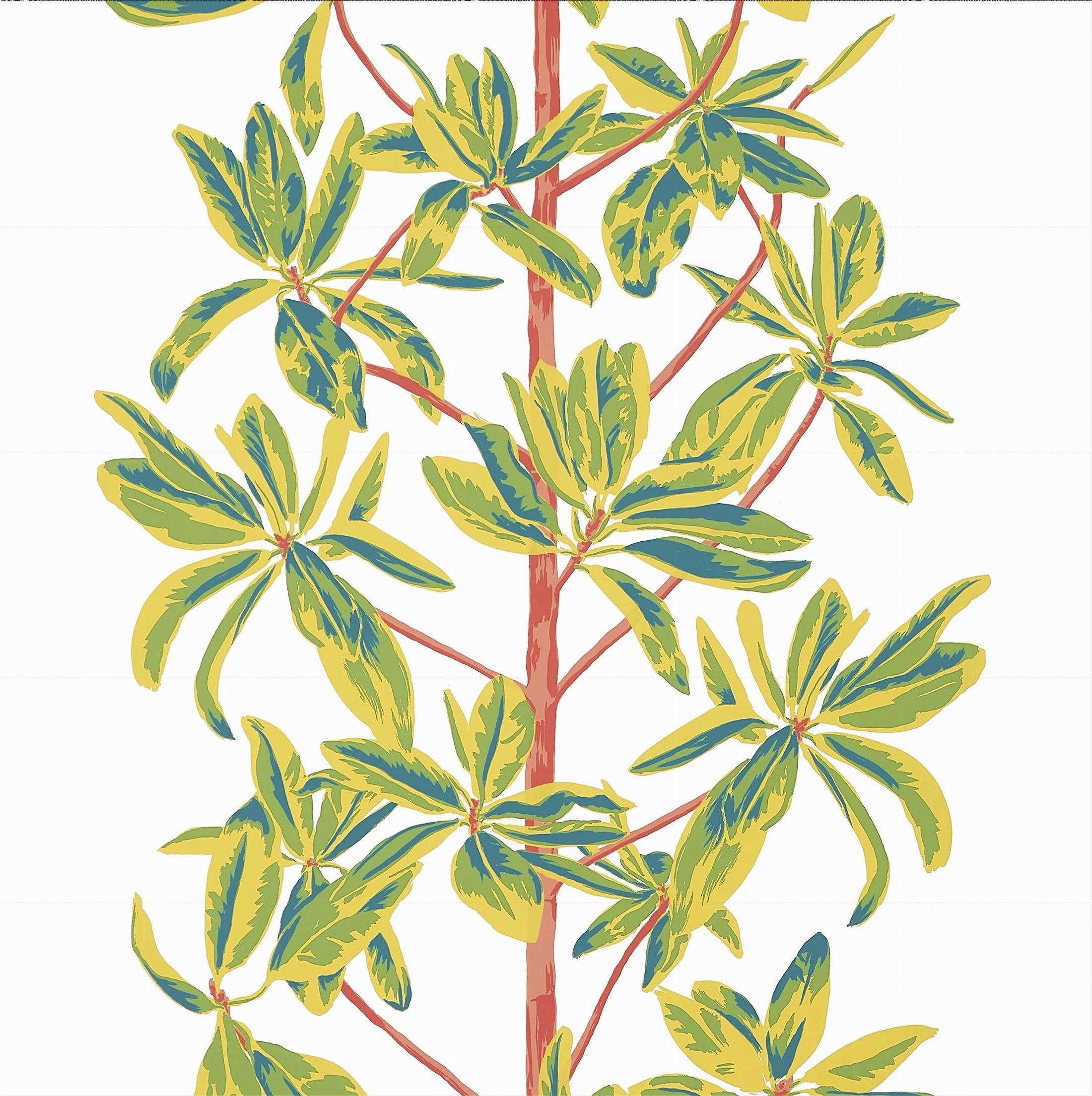 Mangrove Tree Wallpaper by Thibaut. Large Tropical Pattern. - Etsy