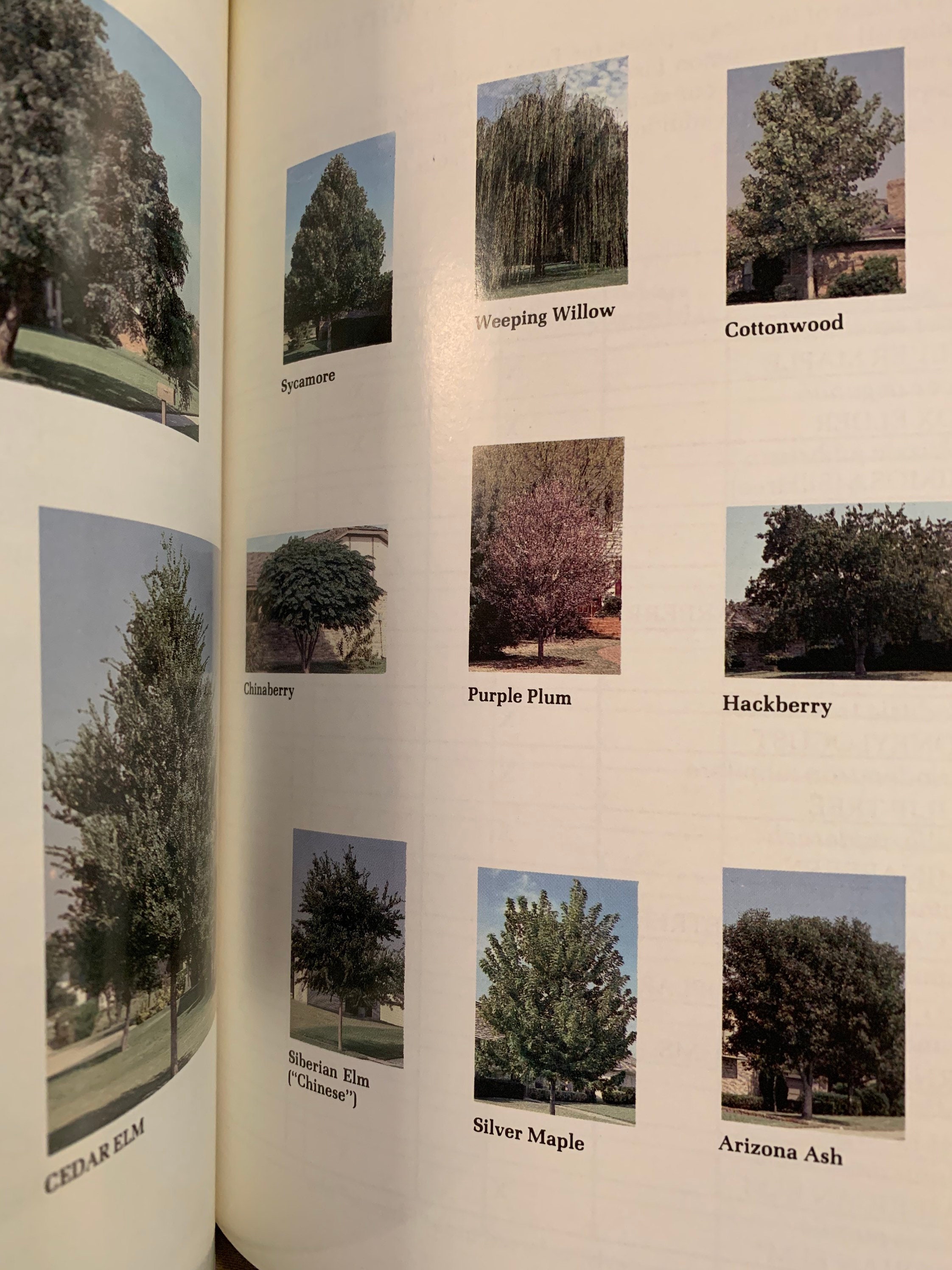 Neil Sperrys Complete Guide to Texas Gardening - Etsy