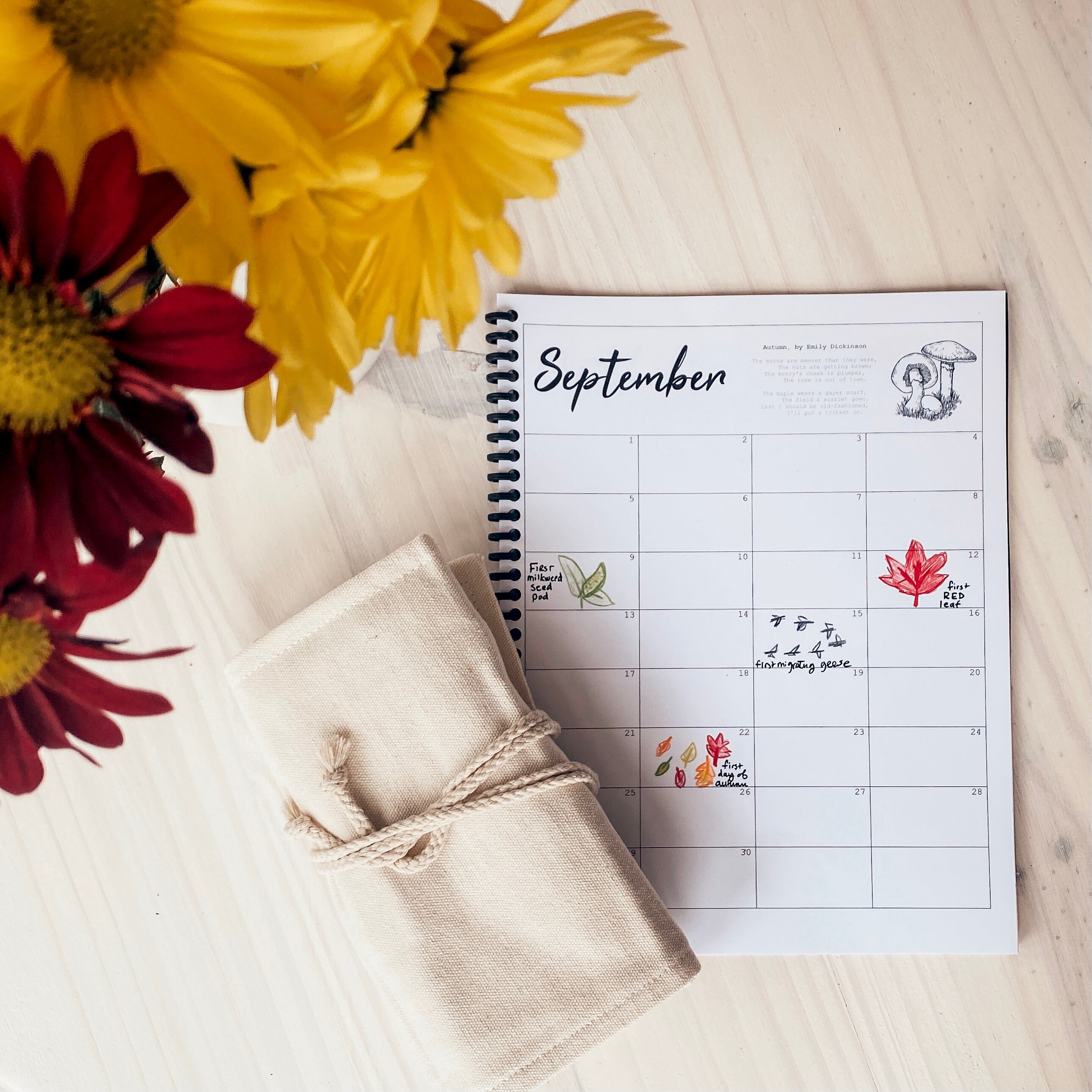 Calendar of Firsts DIGITAL DOWNLOAD Nature Diary Journal - Etsy