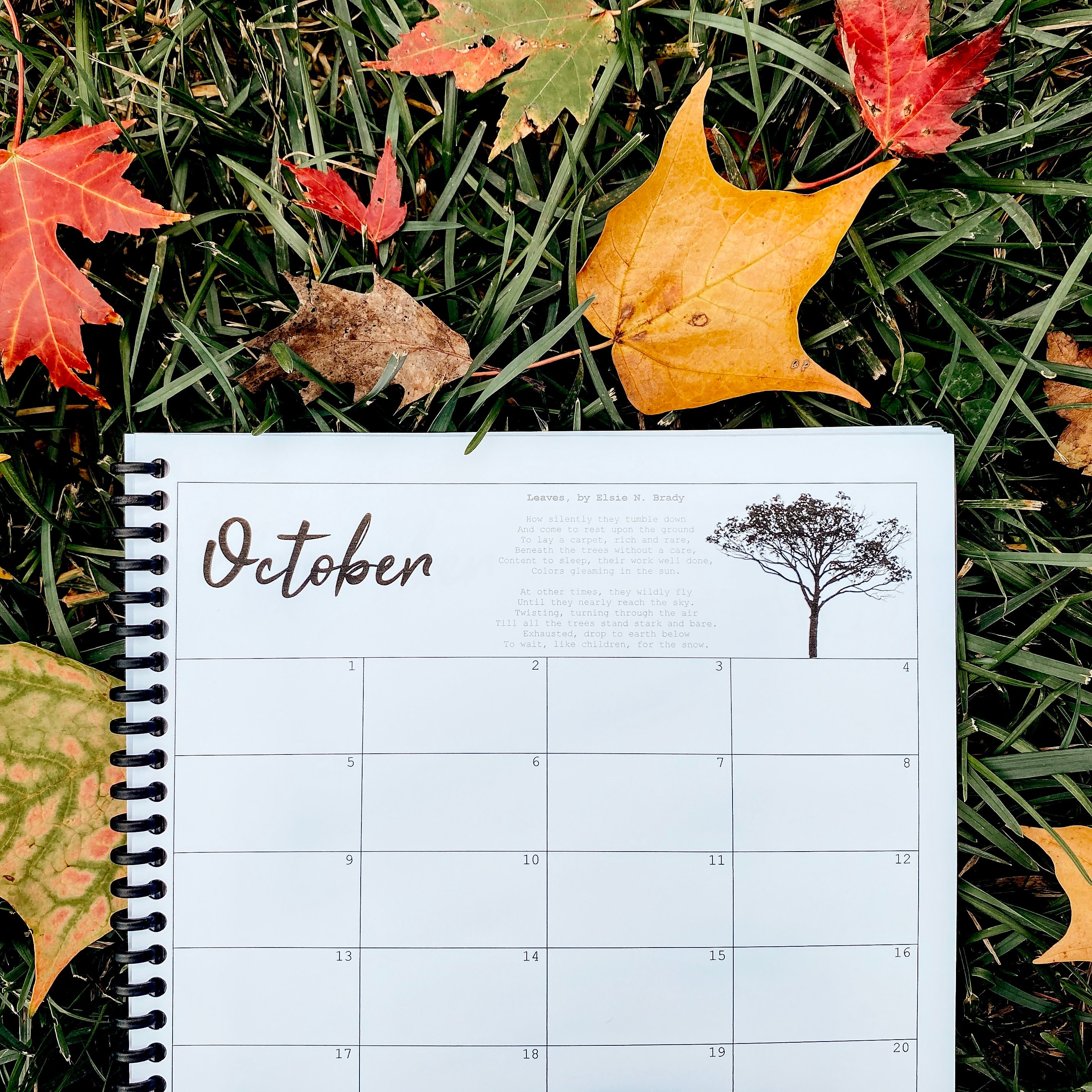 Calendar of Firsts DIGITAL DOWNLOAD Nature Diary Journal - Etsy