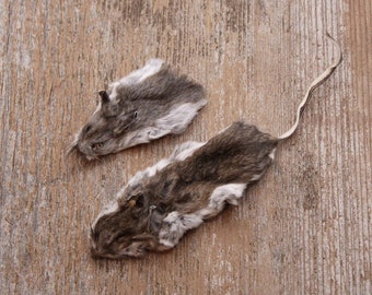 Mouse Pelt - Etsy
