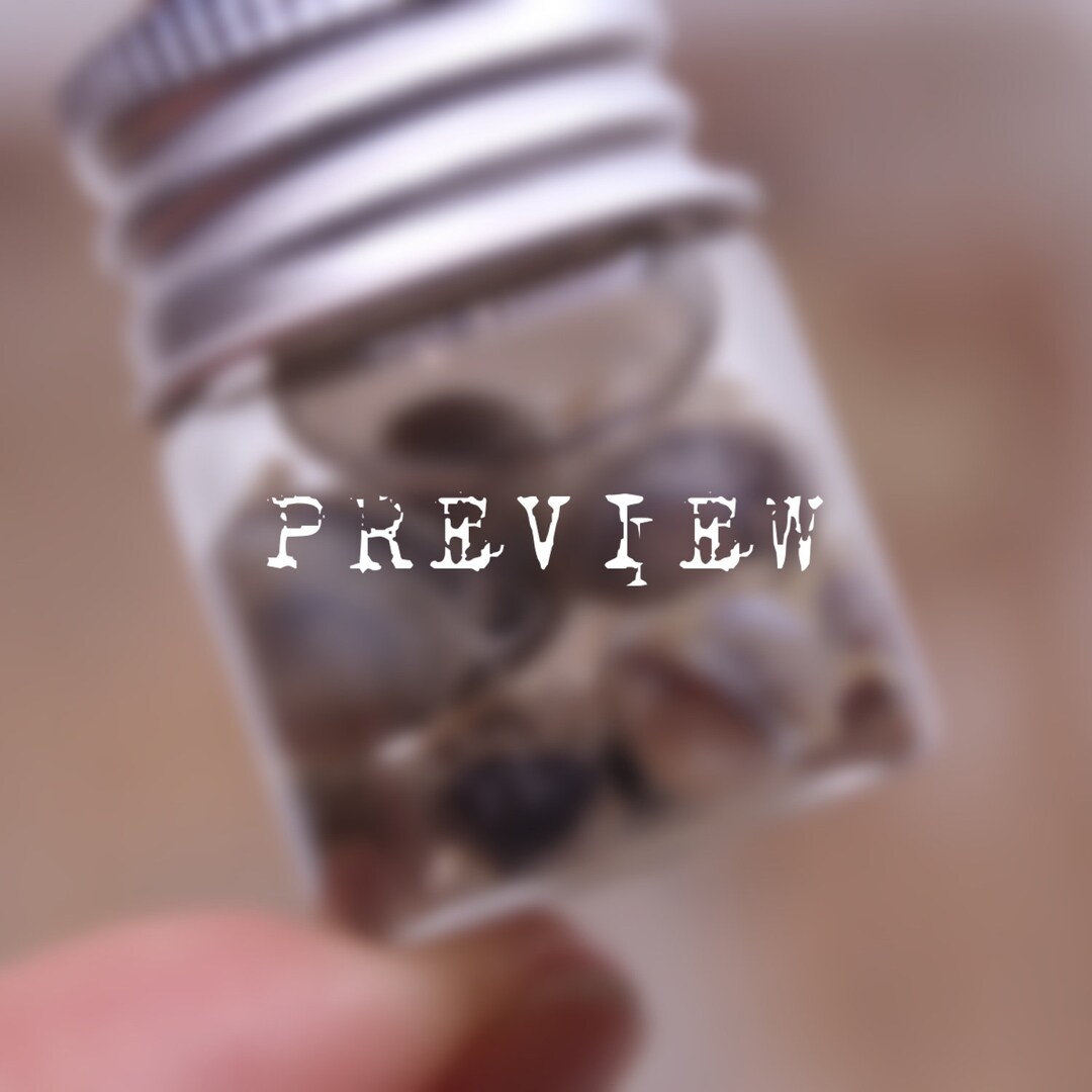 Real Jar of Eyeballs Mixed Small Eye Wet Specimen - Etsy