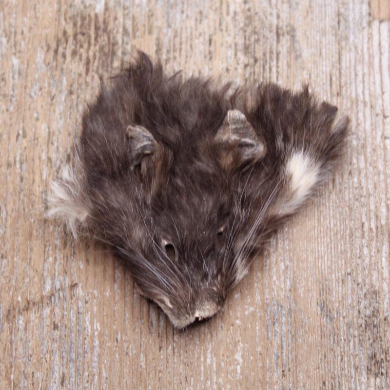 Real Animal Skin - Etsy