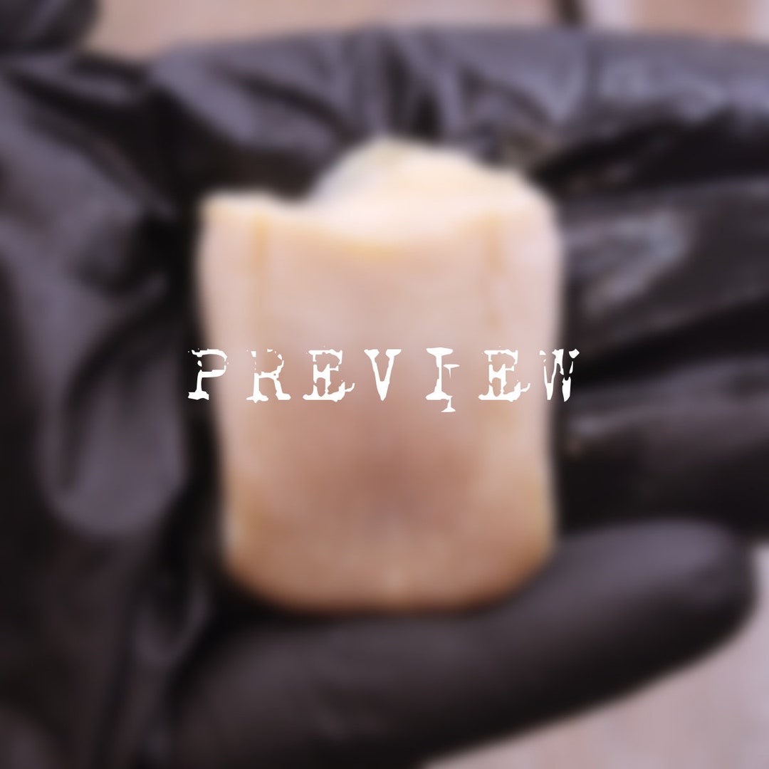 Real Fish Tongue Wet Specimen Arapaima in a Jar - Etsy