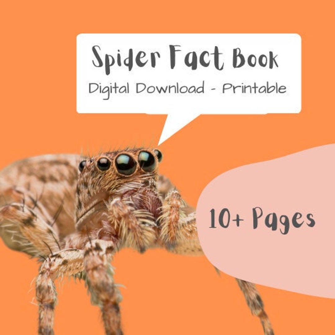 Spider Fact Book for Boys, Kids - Spider Print, Spider Gifts, Gifts for ...