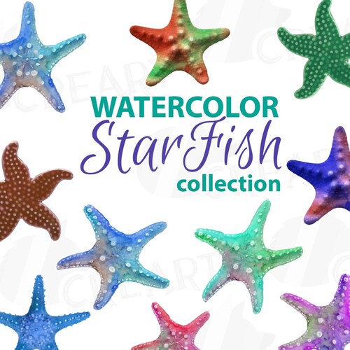 Handpainted Watercolor Seashell Clip Art Starfish Clip Art | Etsy