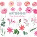 Watercolor Pink floral elements and green leaves clip art | Etsy