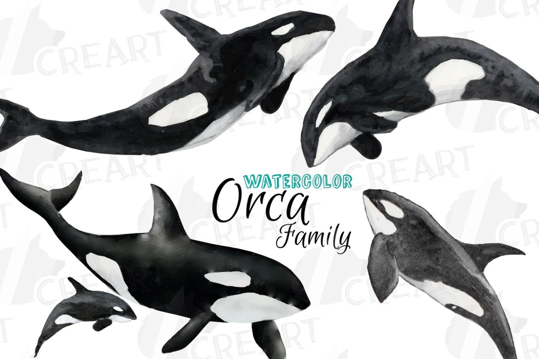 Orca Family Watercolor Clip Art Pack, Killer Whales Decoration ...