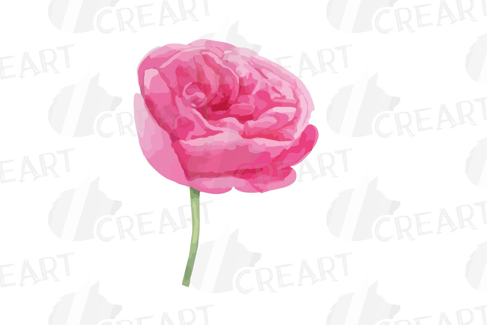 Watercolor Pink Floral Elements and Green Leaves Clip Art | Etsy