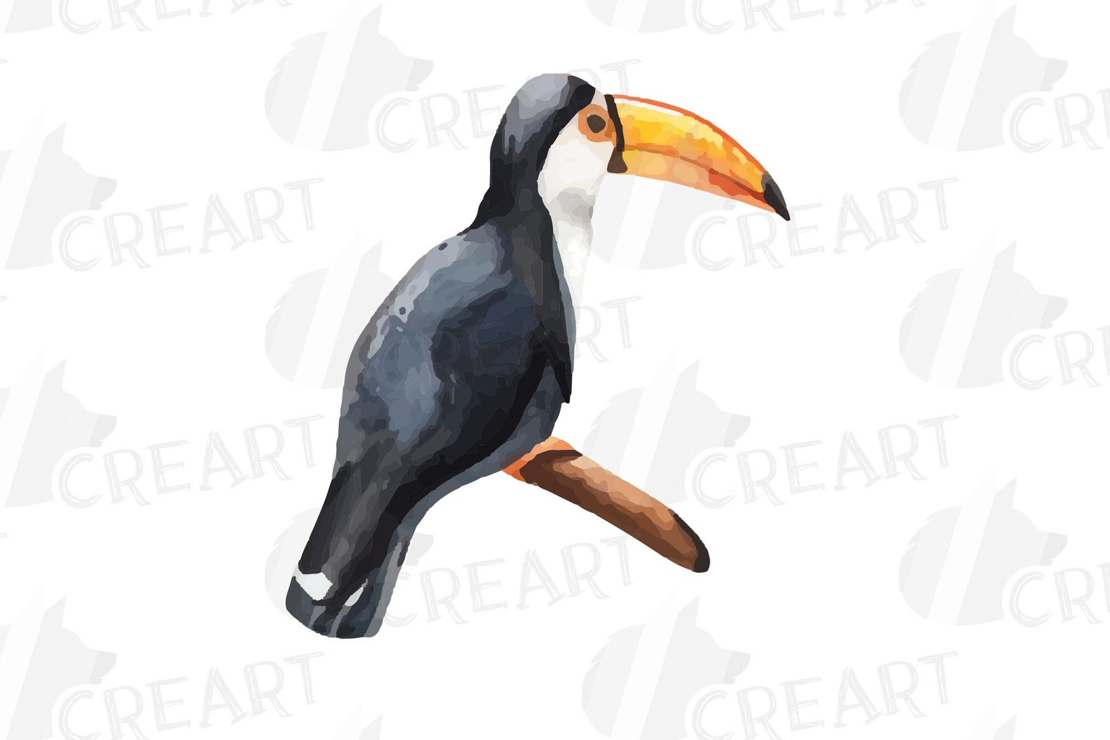 Tropical Birds and Animals Watercolor Decorations. Tropical | Etsy