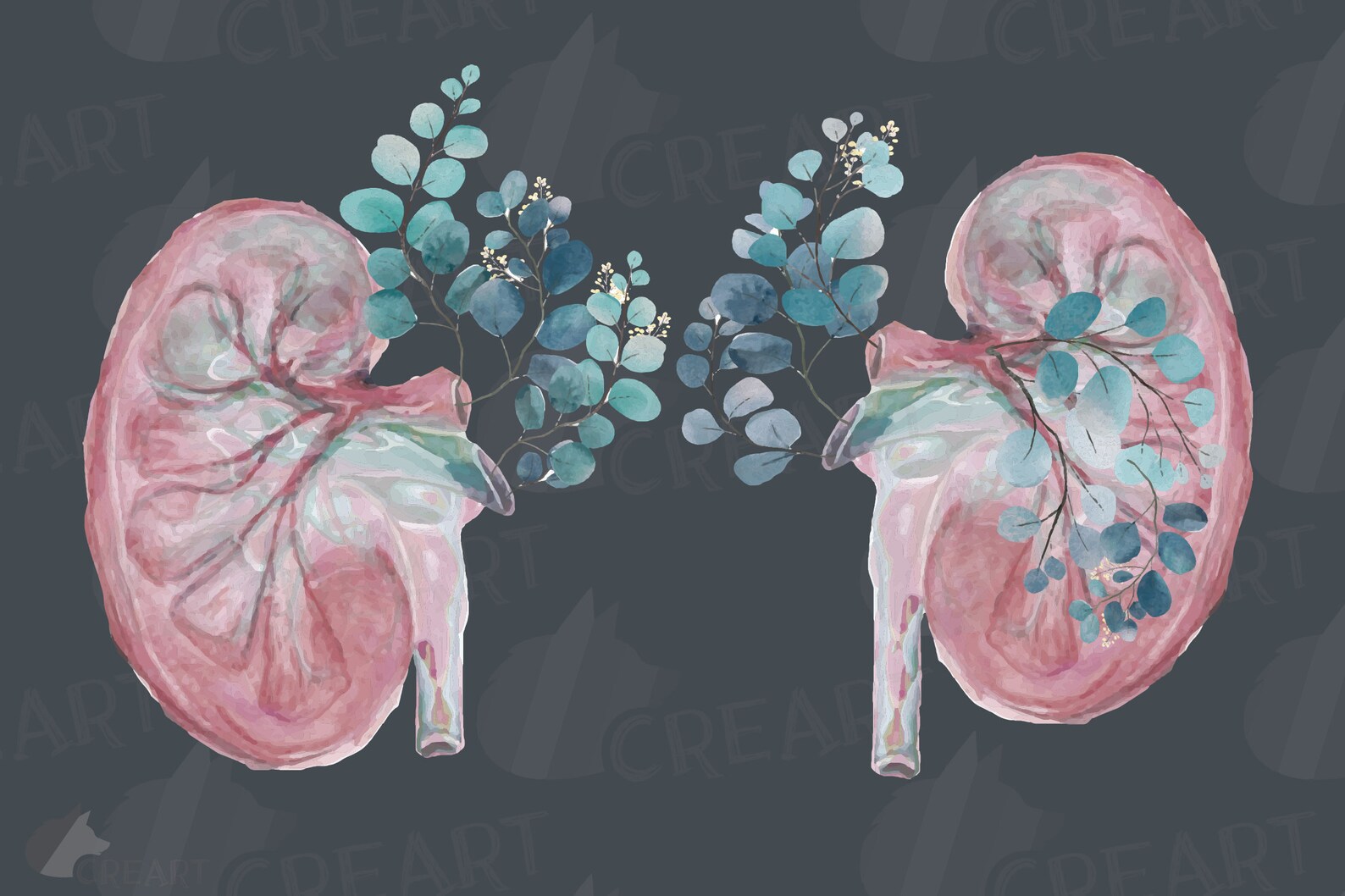 Pink Blush Anatomical Kidneys With Eucalyptus. Floral Human | Etsy Canada