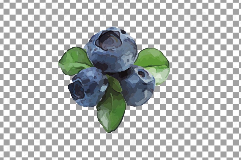 Watercolor Blueberry Branch and Leaves Clip Art Pack - Etsy Canada