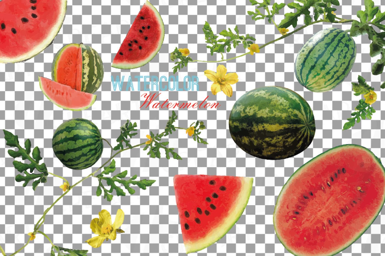 Watercolor Watermelon Clip Art Pack Watermelon Plant and - Etsy