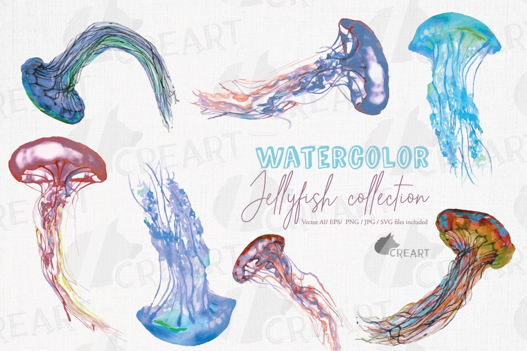 Jellyfish Watercolor Sea Art Design, Colorful Tropical Sea Jelly ...