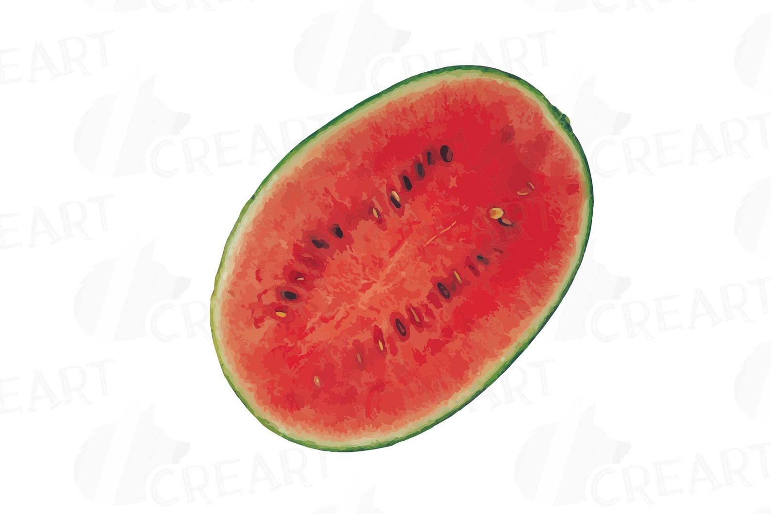 Watercolor Watermelon Clip Art Pack Watermelon Plant and - Etsy