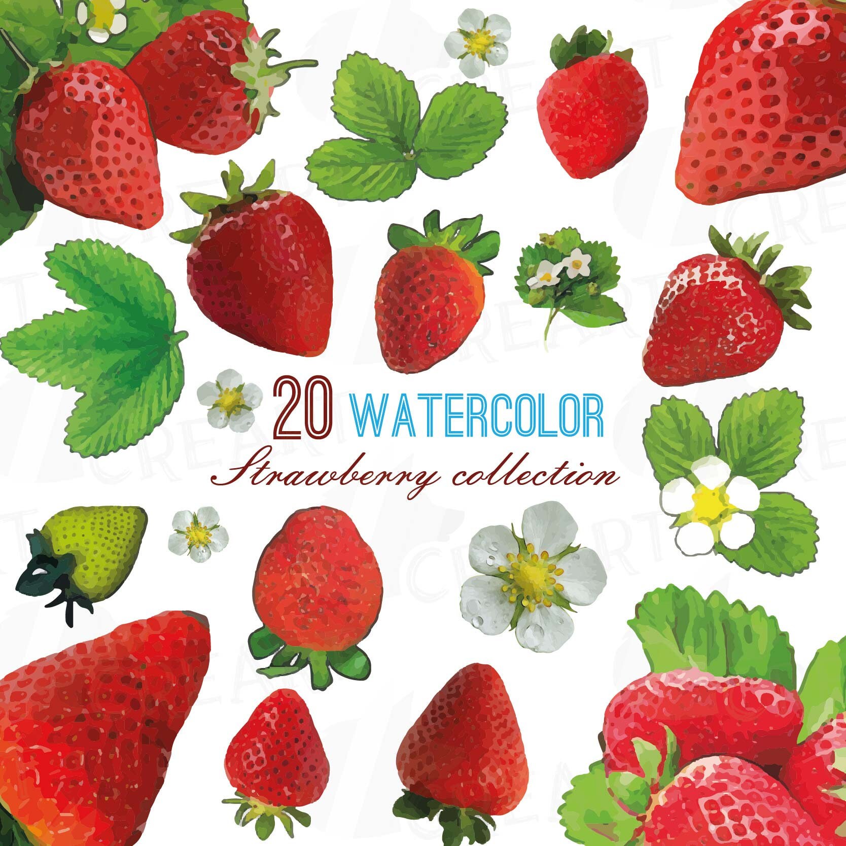 Watercolor Strawberries Clip Art Pack Strawberry Flower and - Etsy