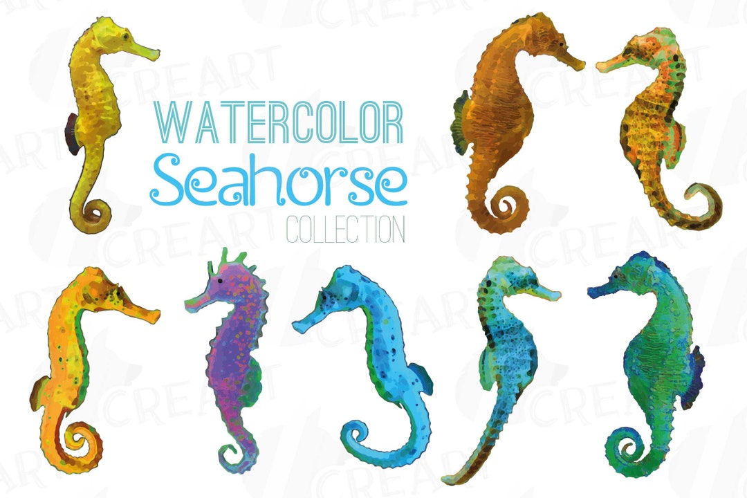 Seahorse Watercolor Clip Art Pack, Colorful Seahorses Tropical ...