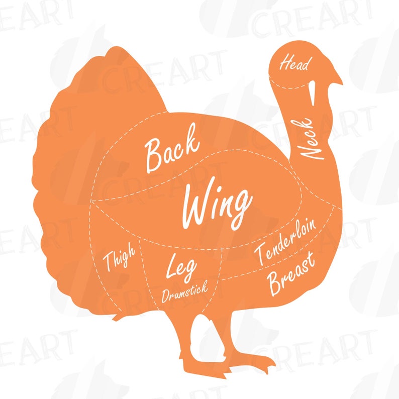 Butcher Turkey Meat Cut Diagram Clip Art. Turkey Kitchen - Etsy