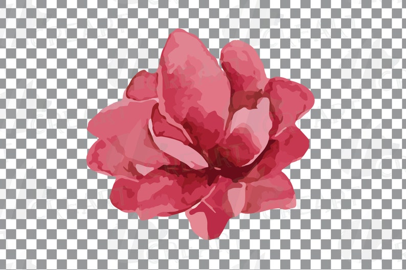 Watercolor Floral Clip Art: Royal Blue & Red Flowers, Frame (digital ...