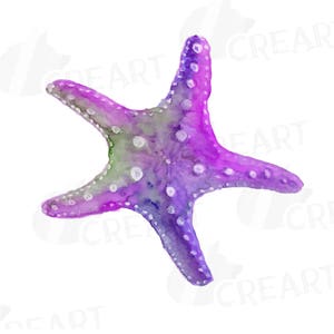 Starfish Watercolor Clip Art Pack, Tropical Seastar Collection. PNG ...