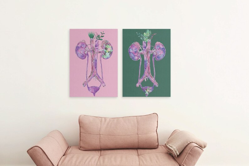Watercolor Purple Anatomical Urinary Tract System With | Etsy
