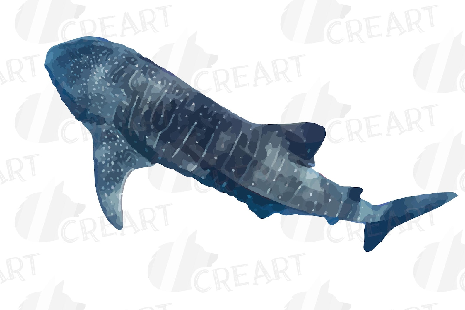 Watercolor Whale Shark Clip Art Pack, Colorful Whales Collection. Png ...