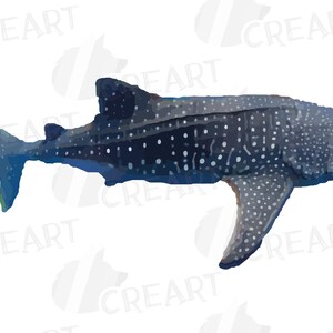 Watercolor Whale Shark Clip Art Pack, Colorful Whales Collection. Png ...