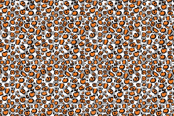 Exotic Animal Textures