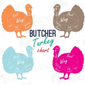 Butcher Turkey Meat Cut Diagram Clip Art. Turkey Kitchen Chart. Butcher ...