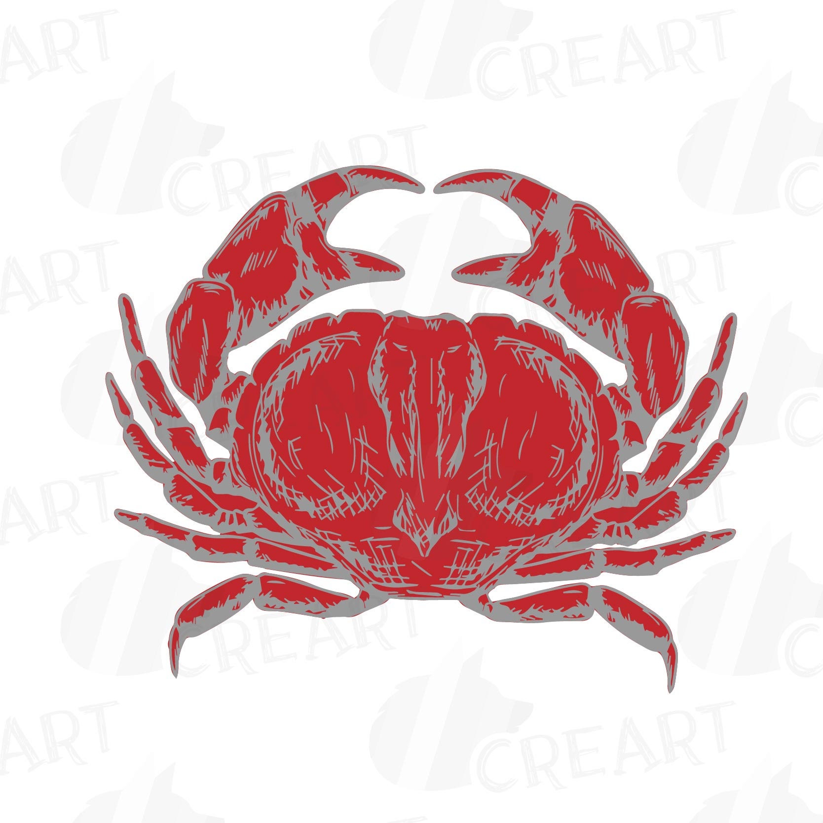 Crabs clip art pack tropical crab scratch. sea crabs PNG | Etsy