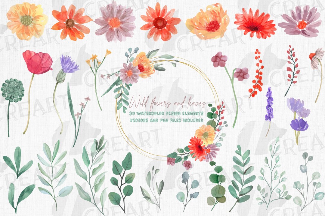 Watercolor Wildflower Clipart: Floral PNG, Vector Graphics (digital ...